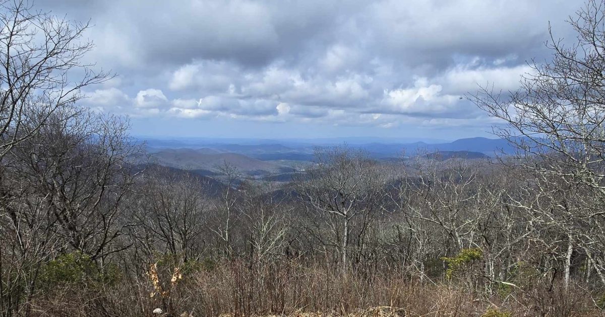 Springer Mountain - Fannin County - Blue Ridge, Georgia