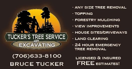 Tucker's Tree Service & Excavating | Blue Ridge, GA