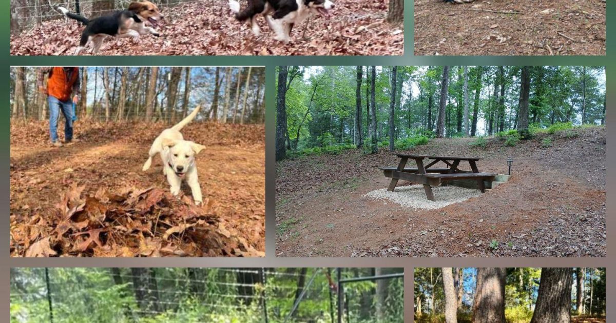 Blue Ridge Private Dog Park | Blue Ridge, GA