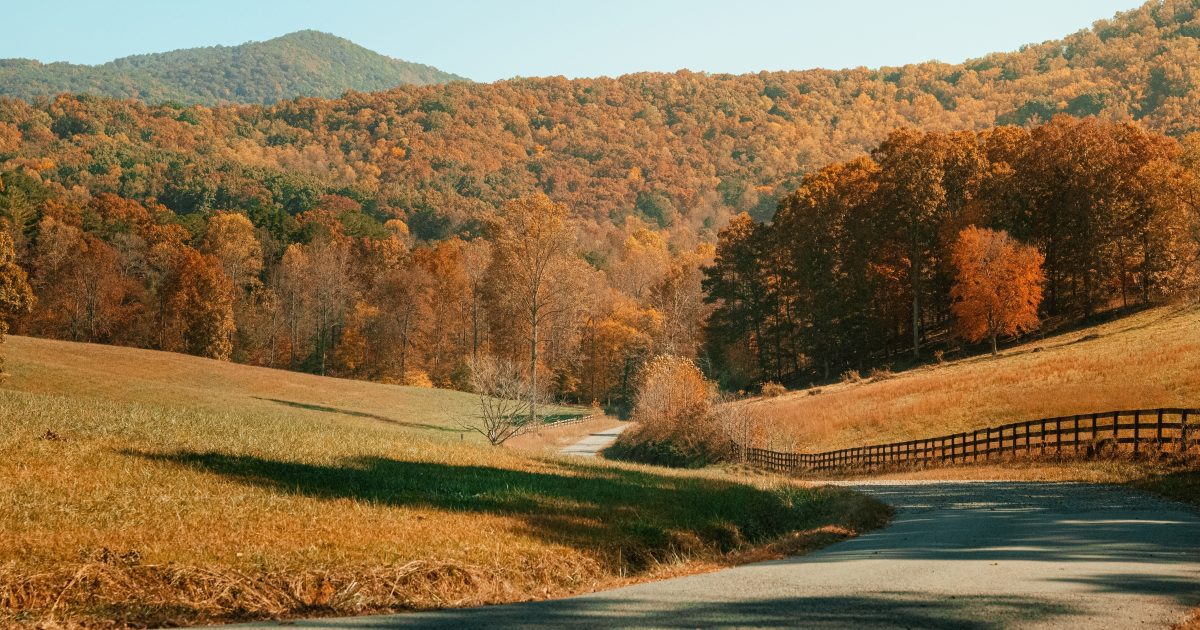 Fall Digital Detox | Blue Ridge, GA