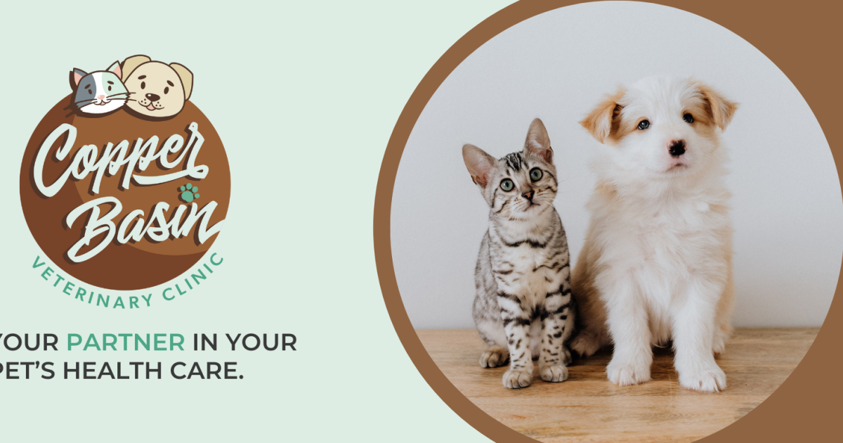 Copper Basin Veterinary Clinic | Blue Ridge, GA