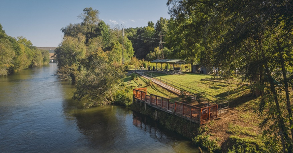 Family Picnic | Blue Ridge, GA