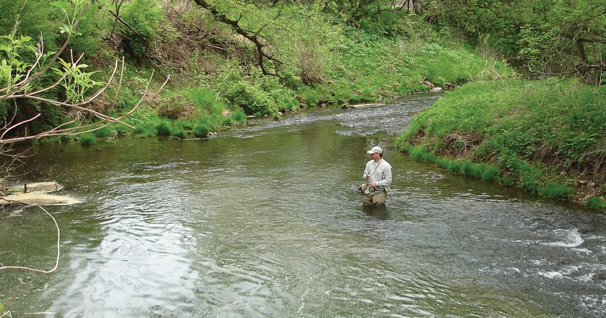 Blue Ridge Mountain Trout Unlimited | Blue Ridge, GA