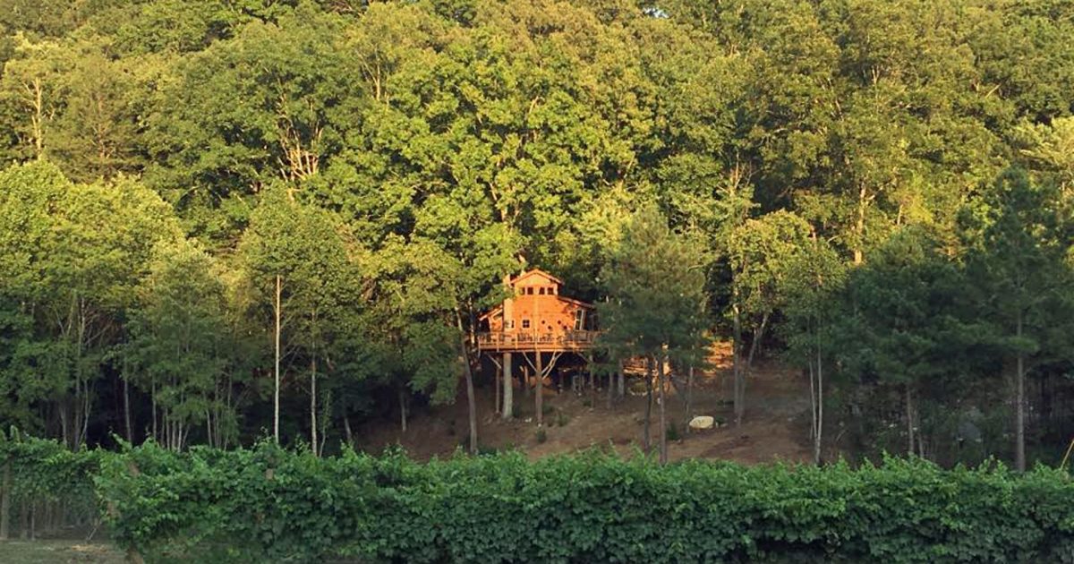 Blue Ridge Treehouse at Bear Claw Vineyards | Blue Ridge, GA