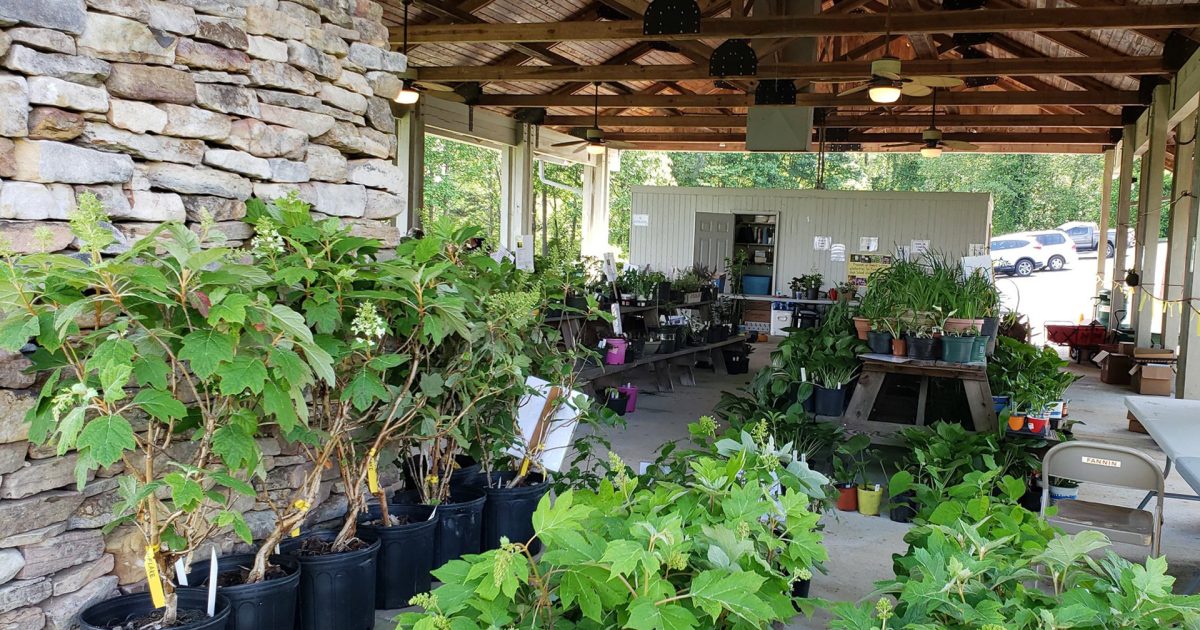 North Georgia Master Gardeners | Blue Ridge, GA