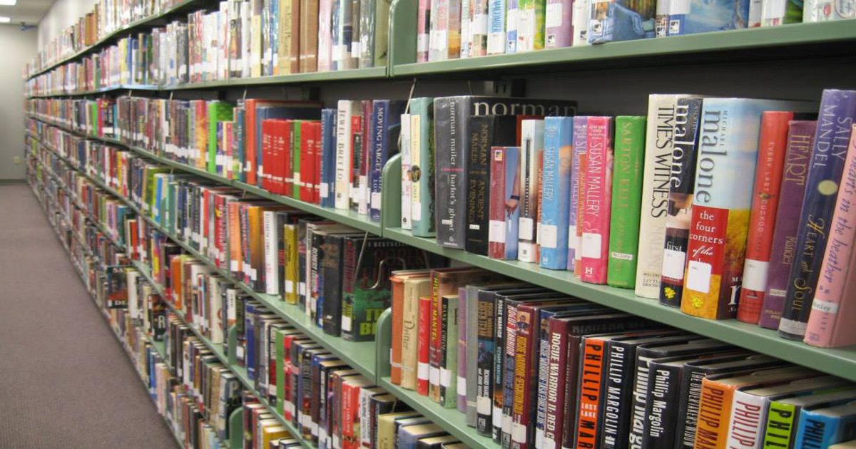 Fannin County Public Library | Blue Ridge, GA