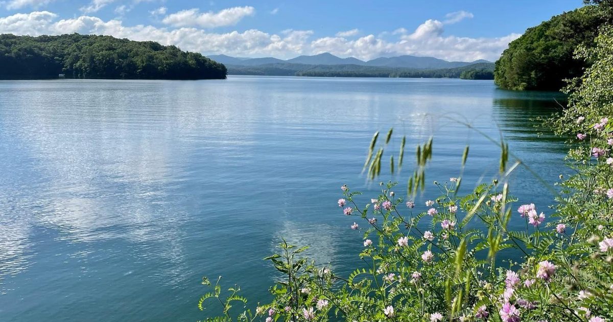 Spring Drives & Hikes in Blue Ridge | Blue Ridge, GA