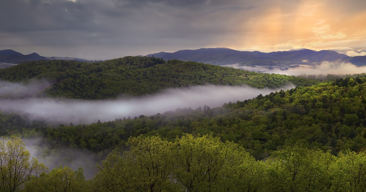 Free Apps and Info From Georgia's Blue Ridge | Blue Ridge, GA