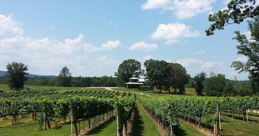 Nottely River Valley Vineyards | Blue Ridge, GA