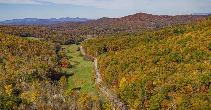 Fall Festivals This Weekend in Blue Ridge, GA | Blue Ridge, GA