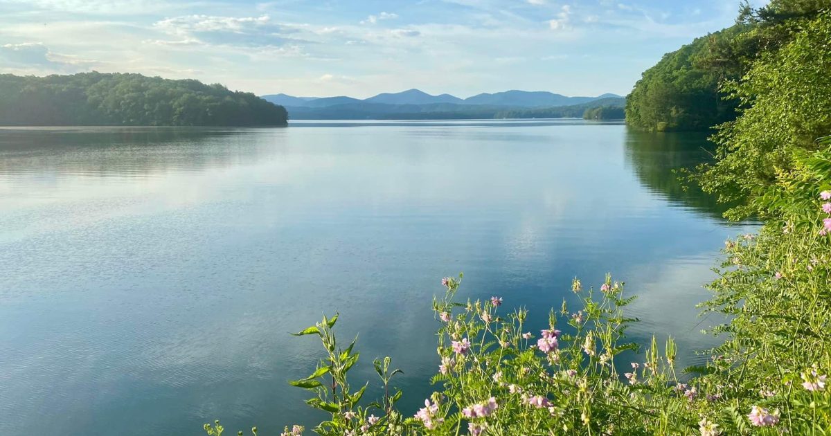 Top 15 Free Things to do in Blue Ridge, GA Today | Blue Ridge, GA