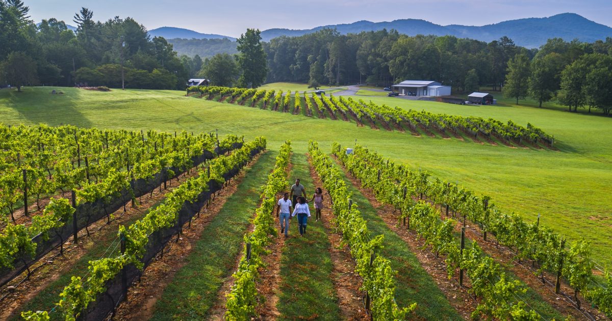 The Blue Ridge Blog | Blue Ridge, GA