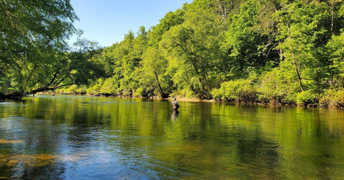 Your Blue Ridge Trout Guide FAQ | Blue Ridge, GA