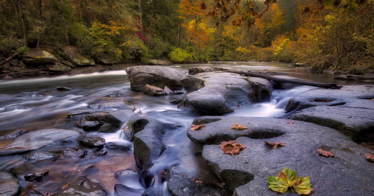 The 3 Best Blue Ridge Scenic Drives | Blue Ridge, GA