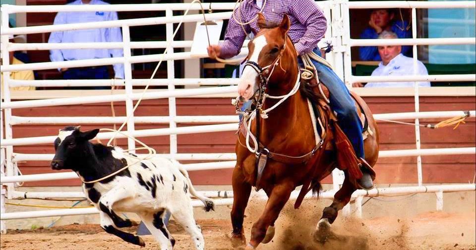 Annual Kiwanis Rodeo ~ Kiwanis Club of Blue Ridge/Mountain Valley ...