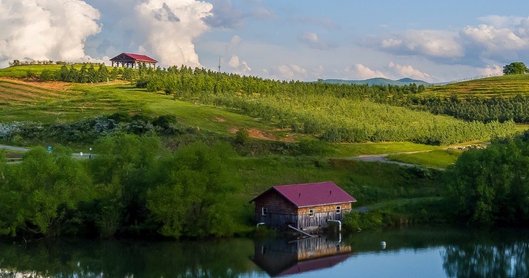 Best Apple Picking in Blue Ridge | Orchards & Farms | Blue Ridge, GA