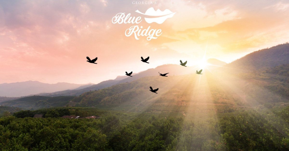Birding Around Blue Ridge - Spring & Summer | Blue Ridge, GA