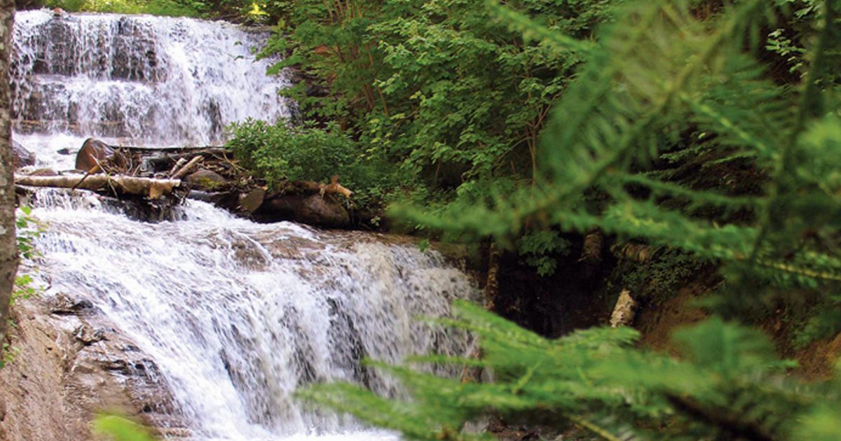 Top 13 Waterfalls in Blue Ridge, GA & Fannin County